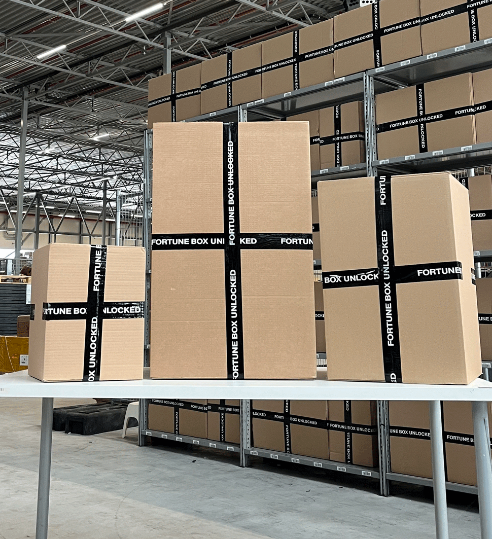 Fortune Box-Big Surprises Inside! – FortuneBox